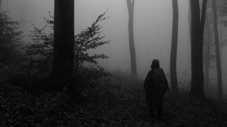 Waldgeister Tour - Stuttgarter Geister